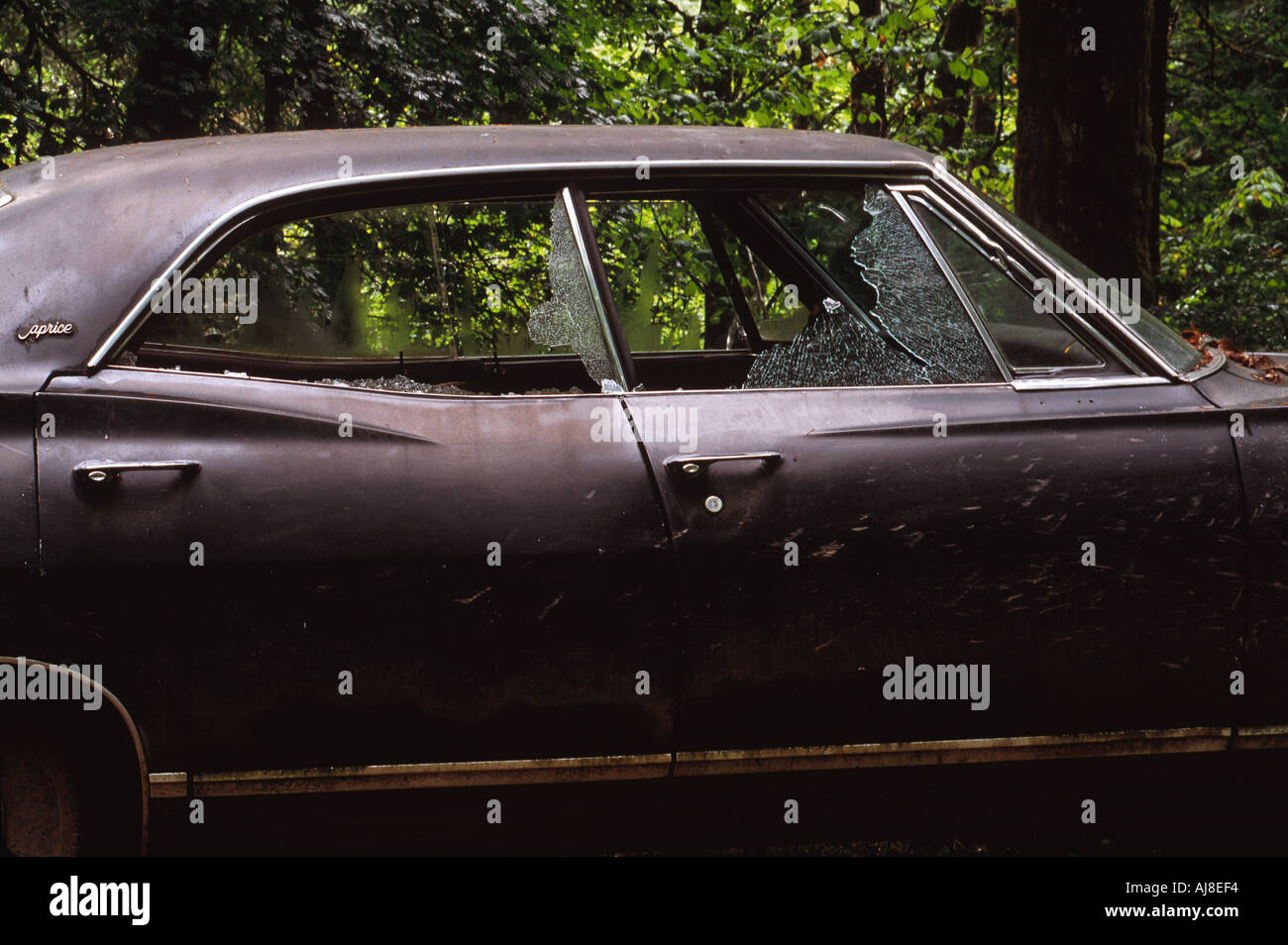 Washington Car Shoot Stock Photo - Alamy