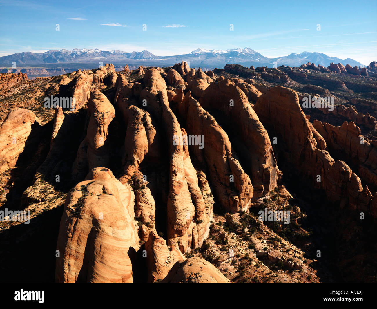 Aerial view of red rock formations in Utah Canyonlands Stock Photo - Alamy