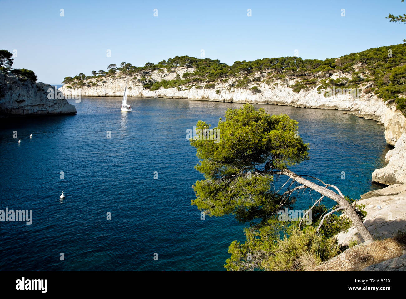 Calanque near Cassis; Port Pin. France Stock Photo - Alamy