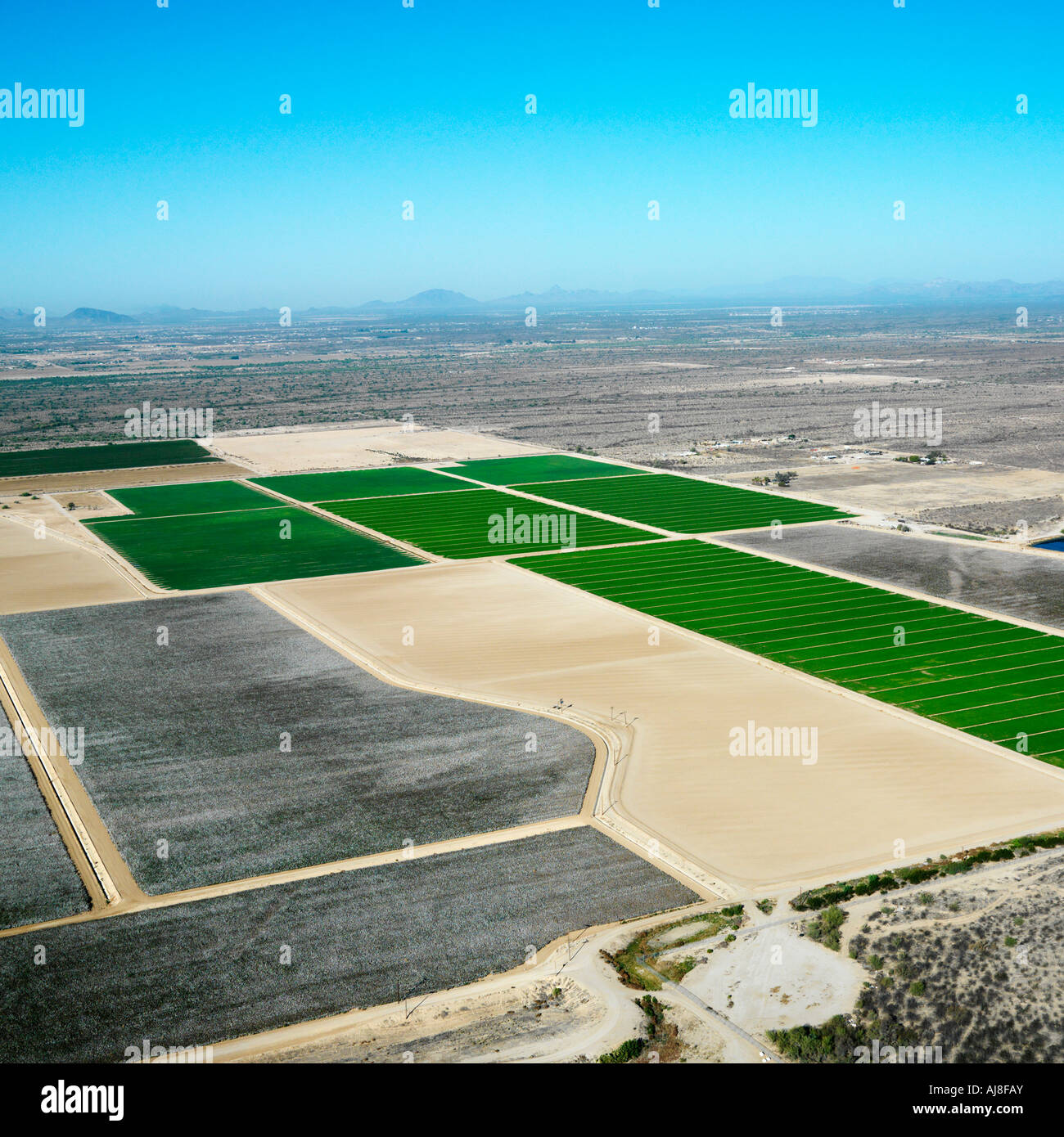 Aerial view of agricultural cropland in Arizona Stock Photo - Alamy