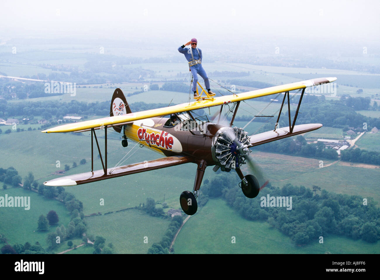 Bi wing hi-res stock photography and images - Alamy