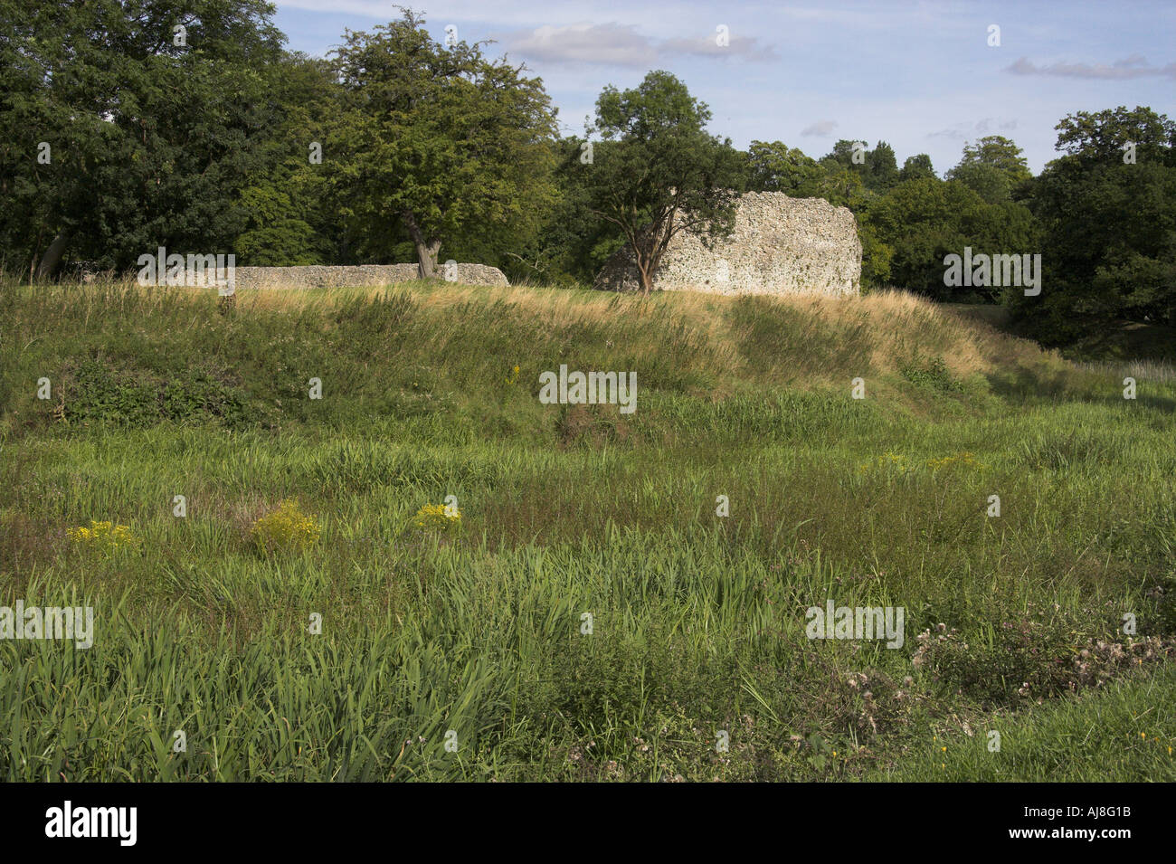 Berkhamsted Castle, Hertfordshire, UK Stock Photo - Alamy