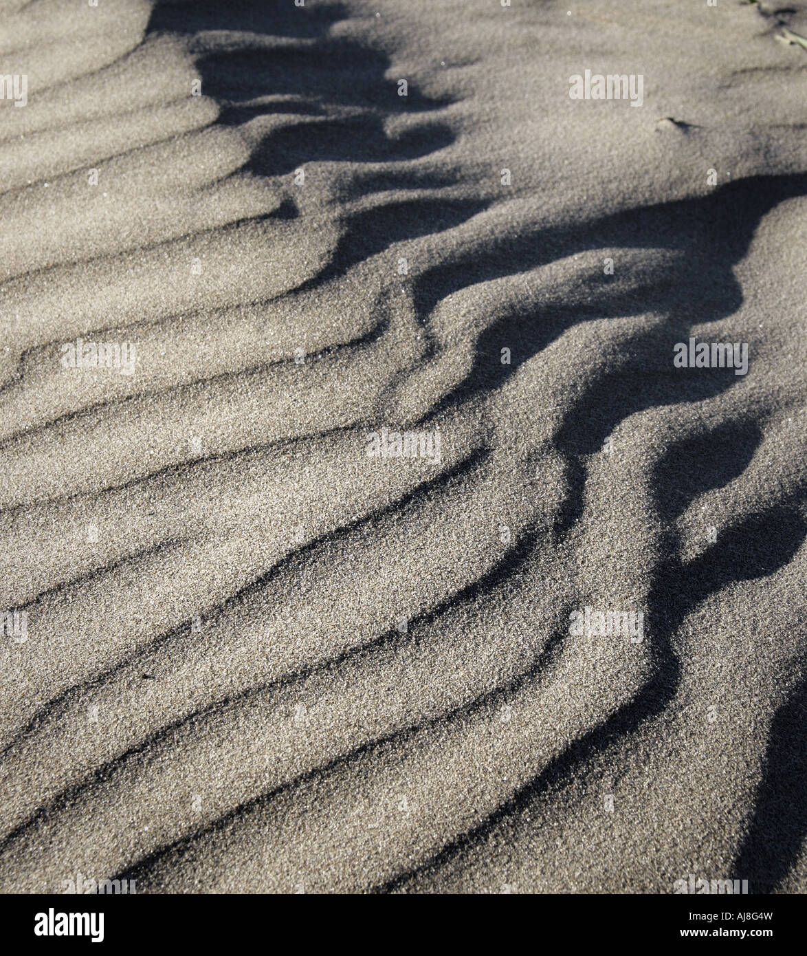 Wind swept sand Stock Photo - Alamy