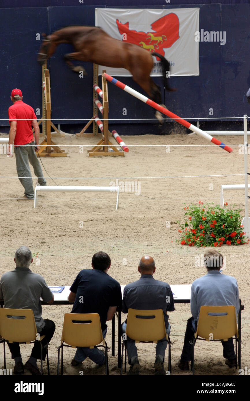 Winning jumps competition hi-res stock photography and images - Alamy