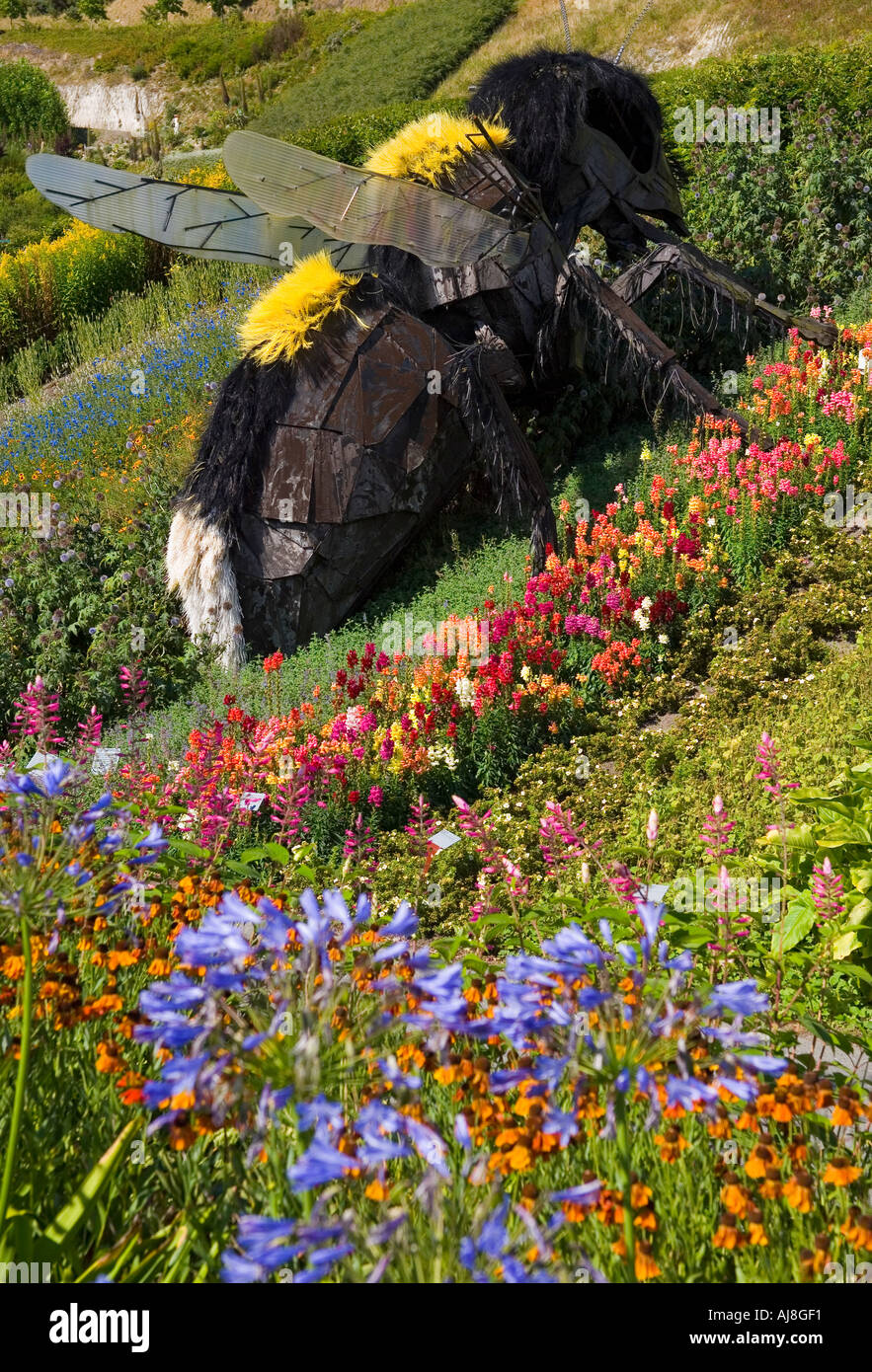Bombus bee eden project cornwall hi-res stock photography and images ...
