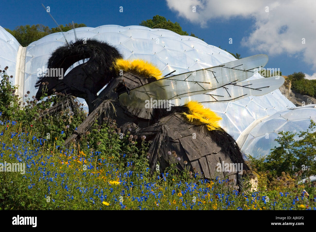 Eden project the bee hi-res stock photography and images - Alamy
