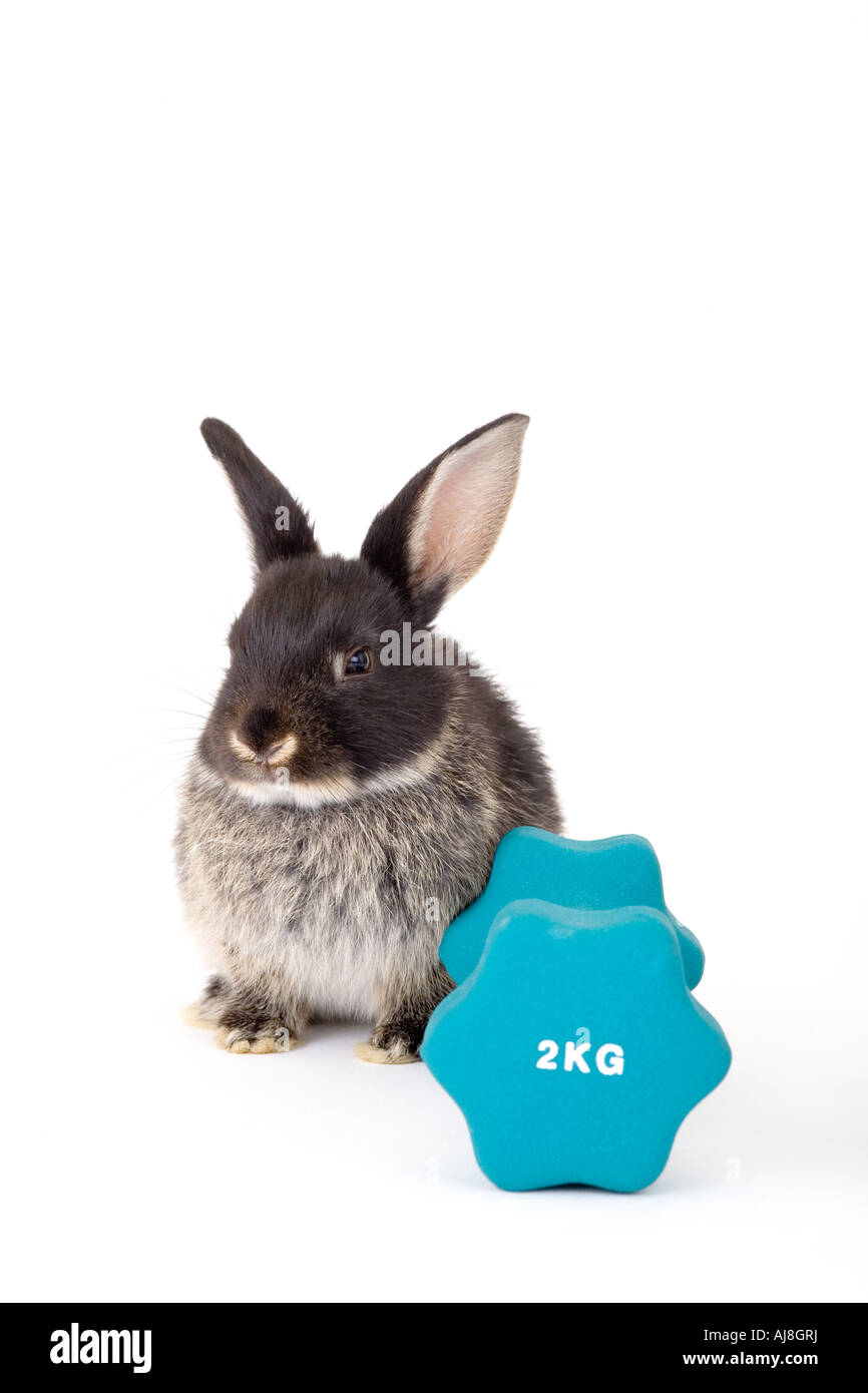 Gym bunny hi-res stock photography and images - Alamy