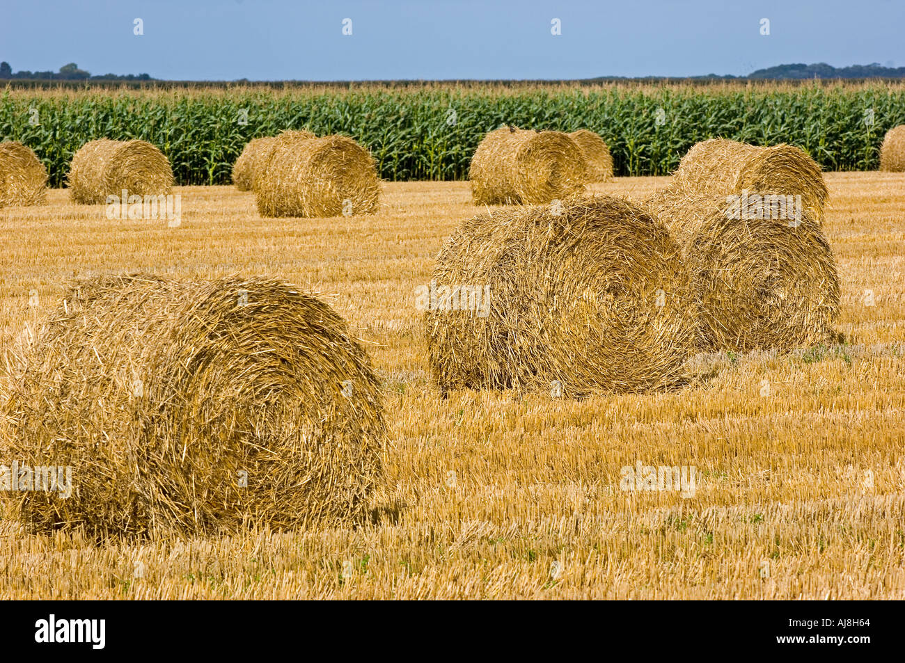 Normandy Hay field with bales Stock Photo - Alamy