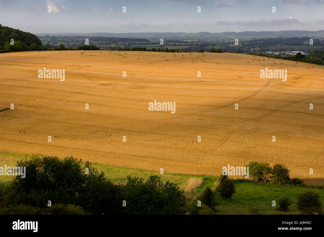 Normandy large hay field France Stock Photo - Alamy