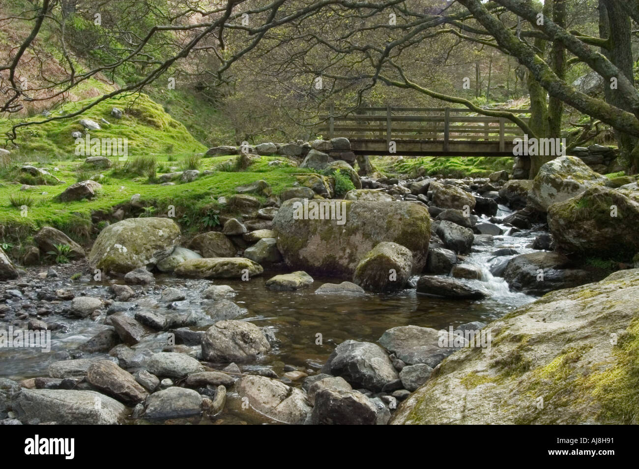 upland stream Lake District Stock Photo - Alamy