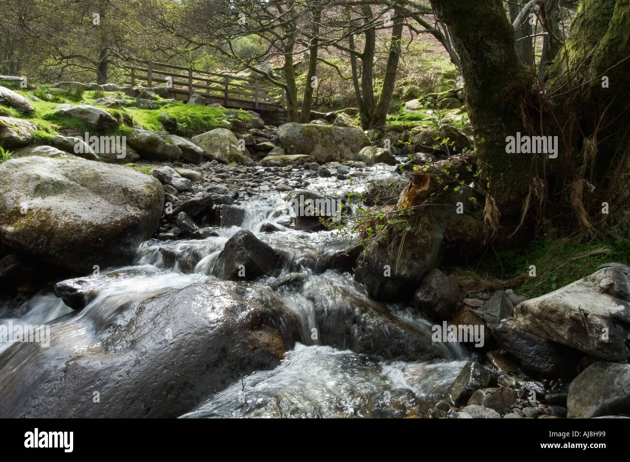 upland stream Lake District Stock Photo - Alamy