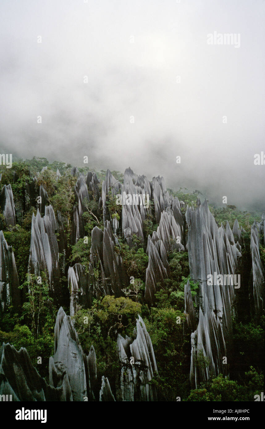The Pinnacles Borneo Malaysia Stock Photo - Alamy