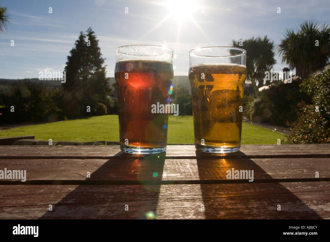 Two pints of lager Stock Photo - Alamy