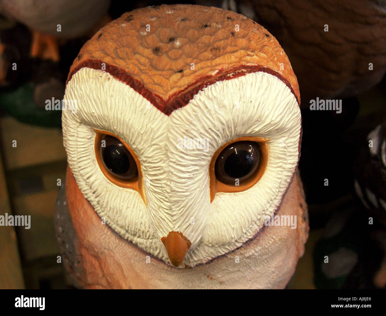 owl model face Stock Photo - Alamy