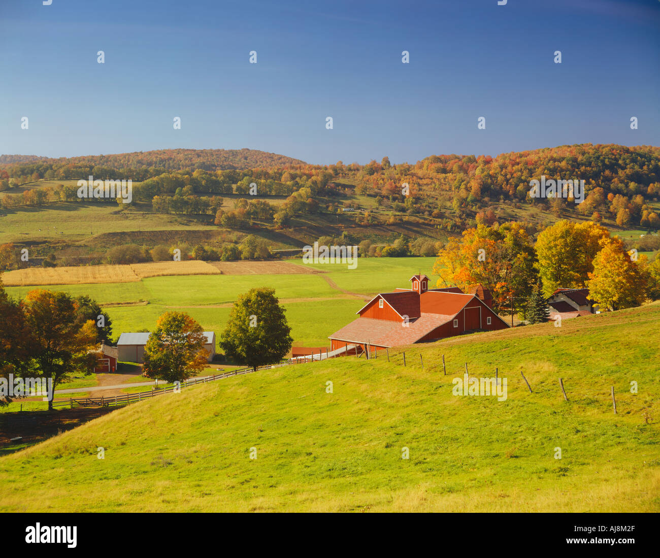 red barn on farm in New York state during fall foliage season Stock ...