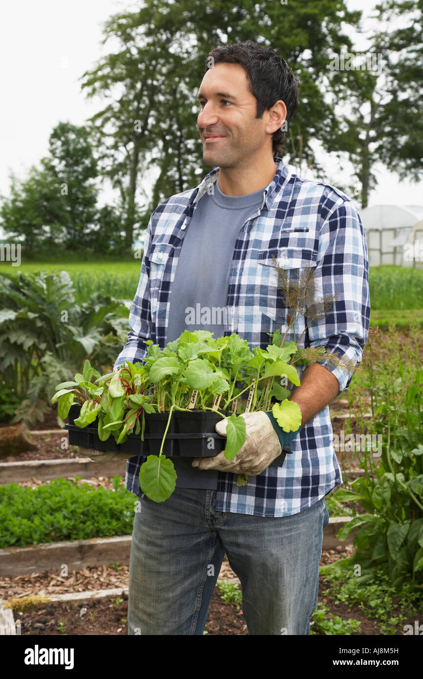 Carrying for the field hi-res stock photography and images - Alamy
