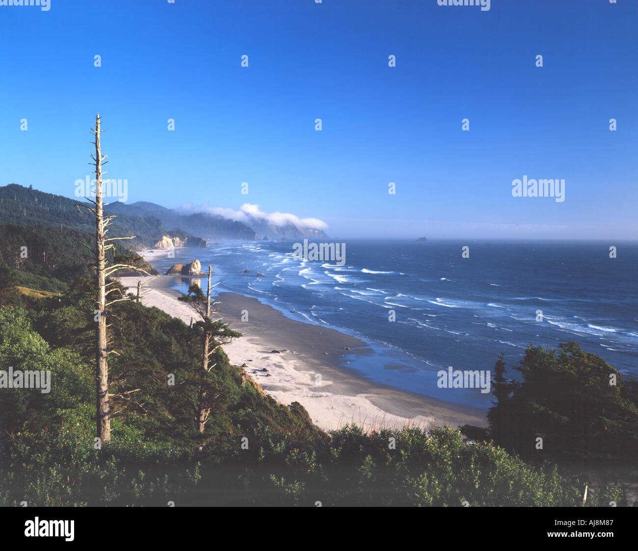 Cape Meares State Park Oregon USA Stock Photo - Alamy