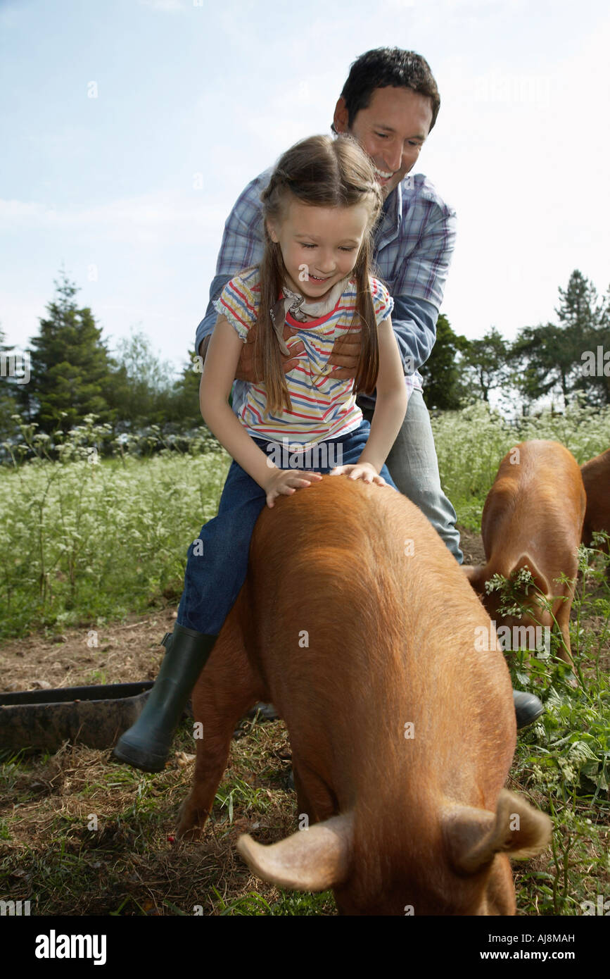Father helping daughter (5-6) to ride pig in sty Stock Photo - Alamy