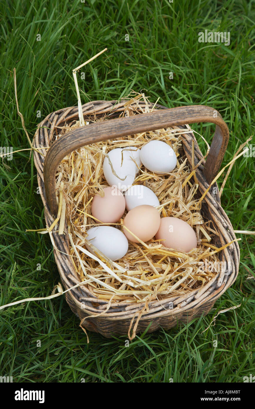 Natural colour eggs hi-res stock photography and images - Alamy