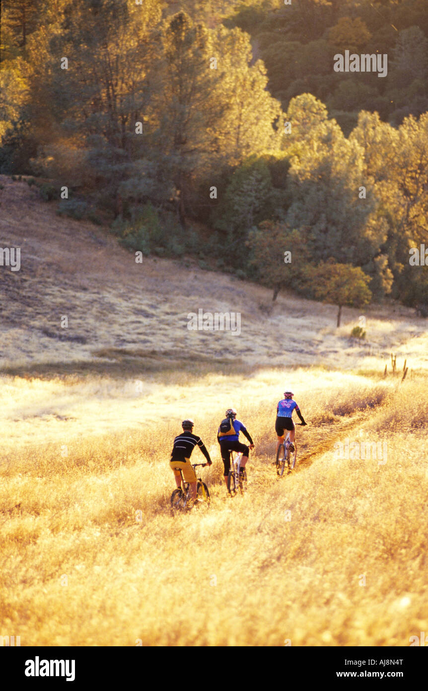 Foresthill divide trail hi-res stock photography and images - Alamy