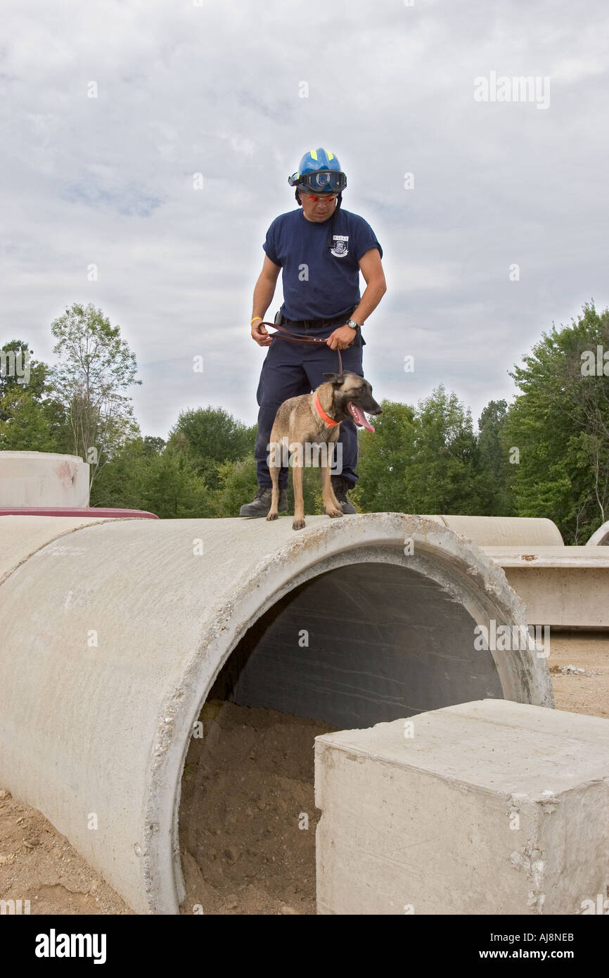 Search and rescue dogs 911 hi-res stock photography and images - Alamy