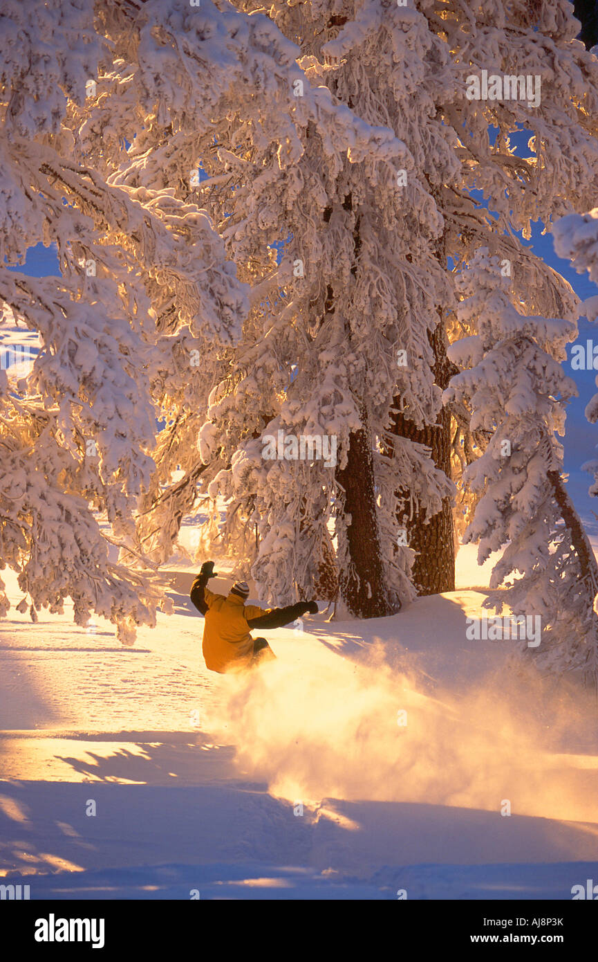 Snowboarding through trees in Tahoe Stock Photo - Alamy