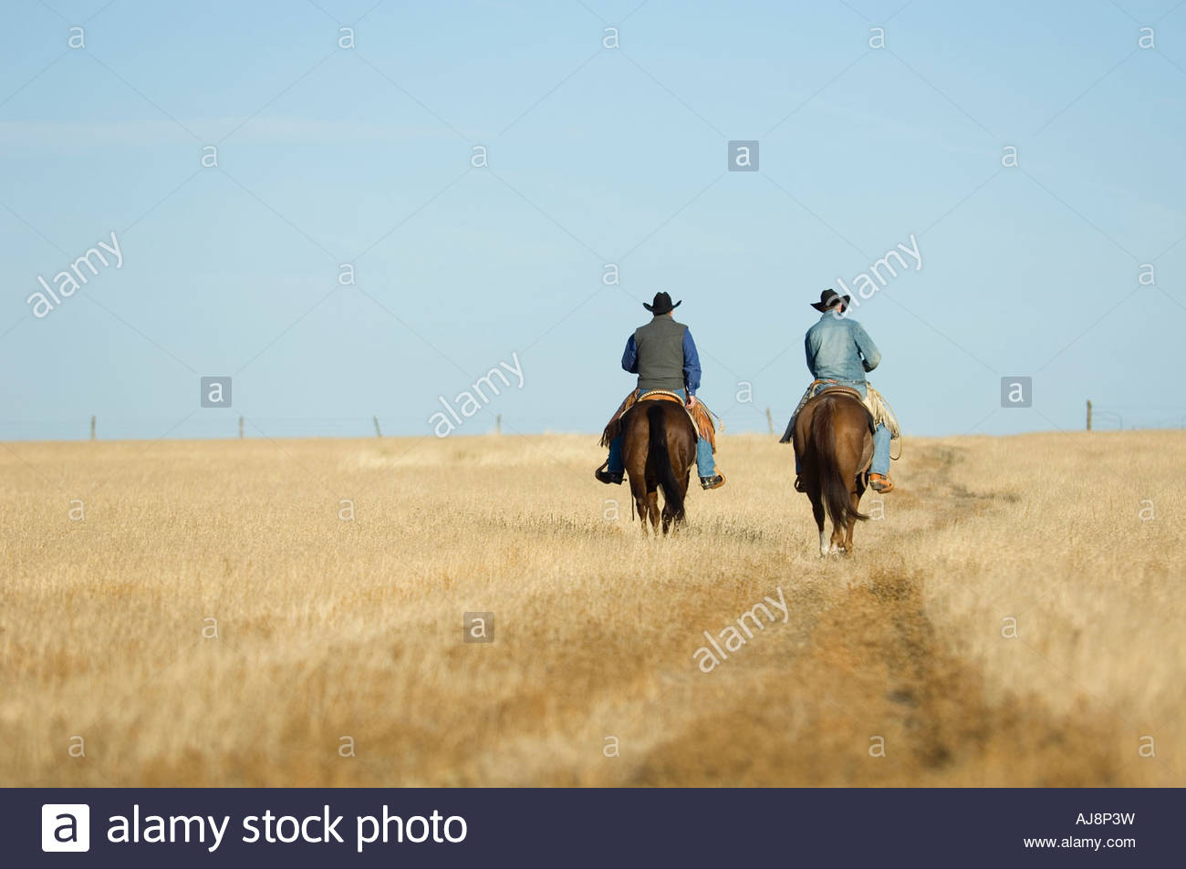 Cowboys On Fence Stock Photos & Cowboys On Fence Stock Images - Alamy