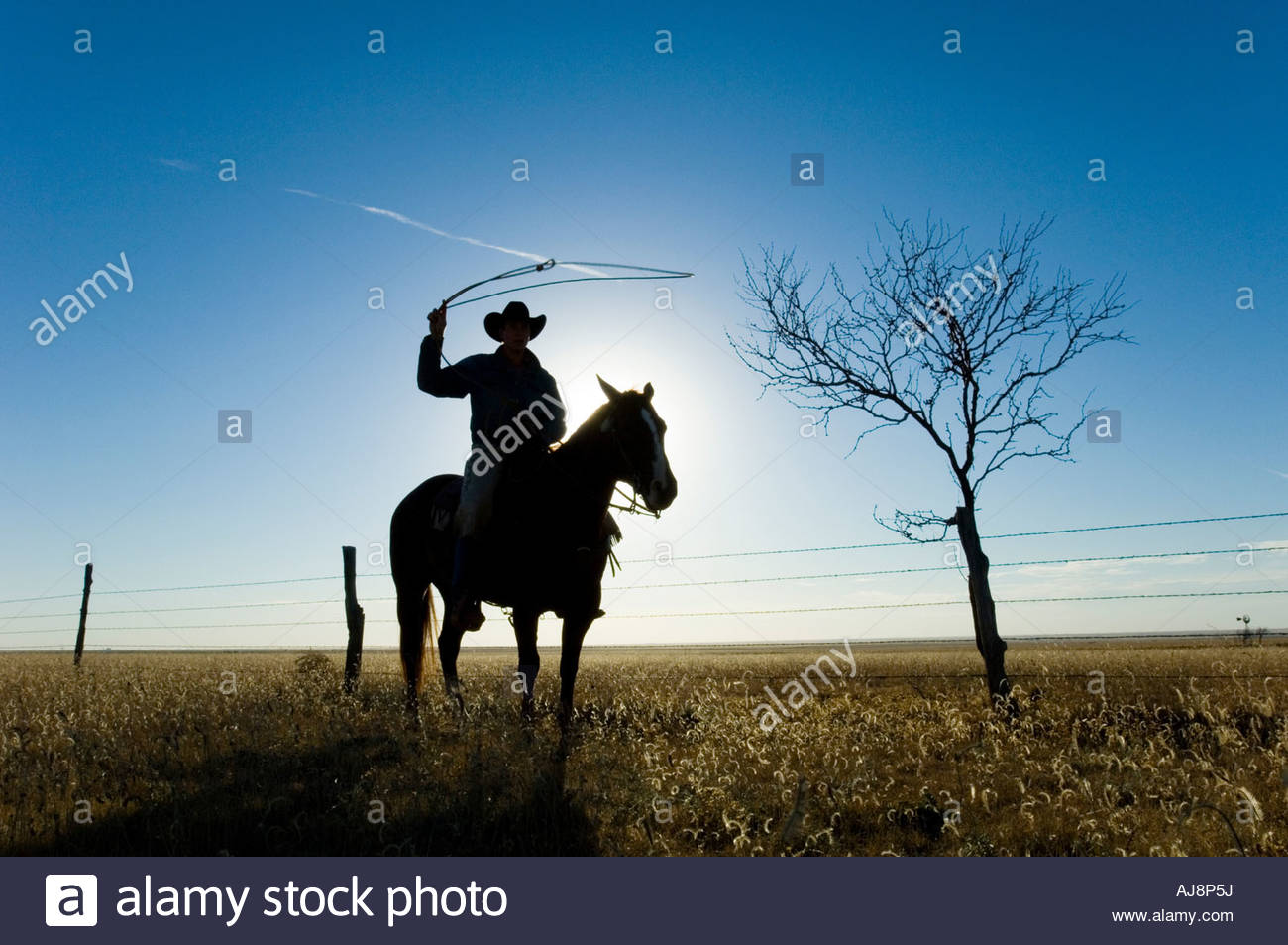 Cowboy Lasso Stock Photos & Cowboy Lasso Stock Images - Alamy
