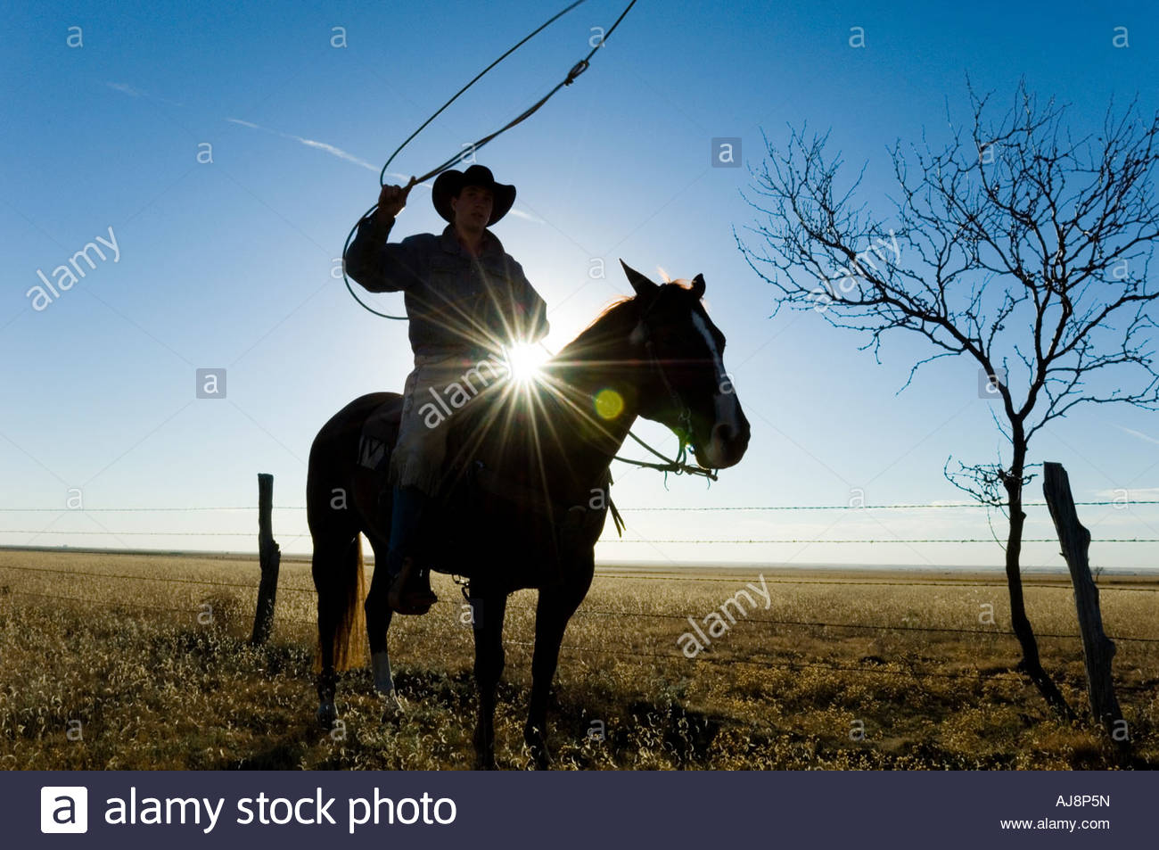 Cowboy Lasso Stock Photos & Cowboy Lasso Stock Images - Alamy