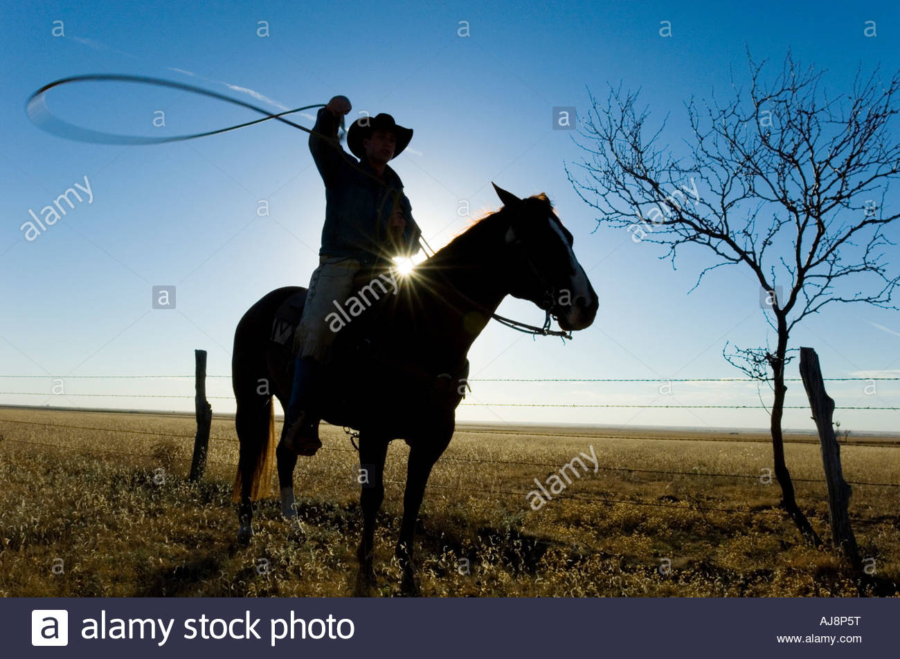 Cowboy Lasso Stock Photos & Cowboy Lasso Stock Images - Alamy