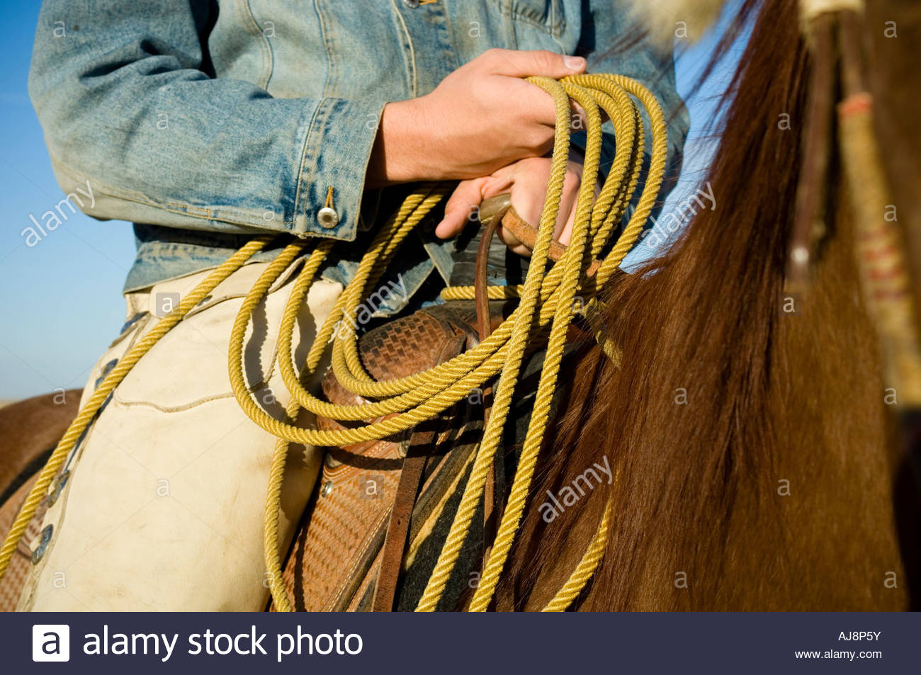 Cowboy Horse Lasso Stock Photos & Cowboy Horse Lasso Stock Images - Alamy