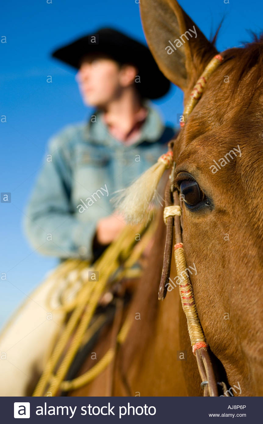 Cowboy Roping Horse Stock Photos & Cowboy Roping Horse Stock Images - Alamy