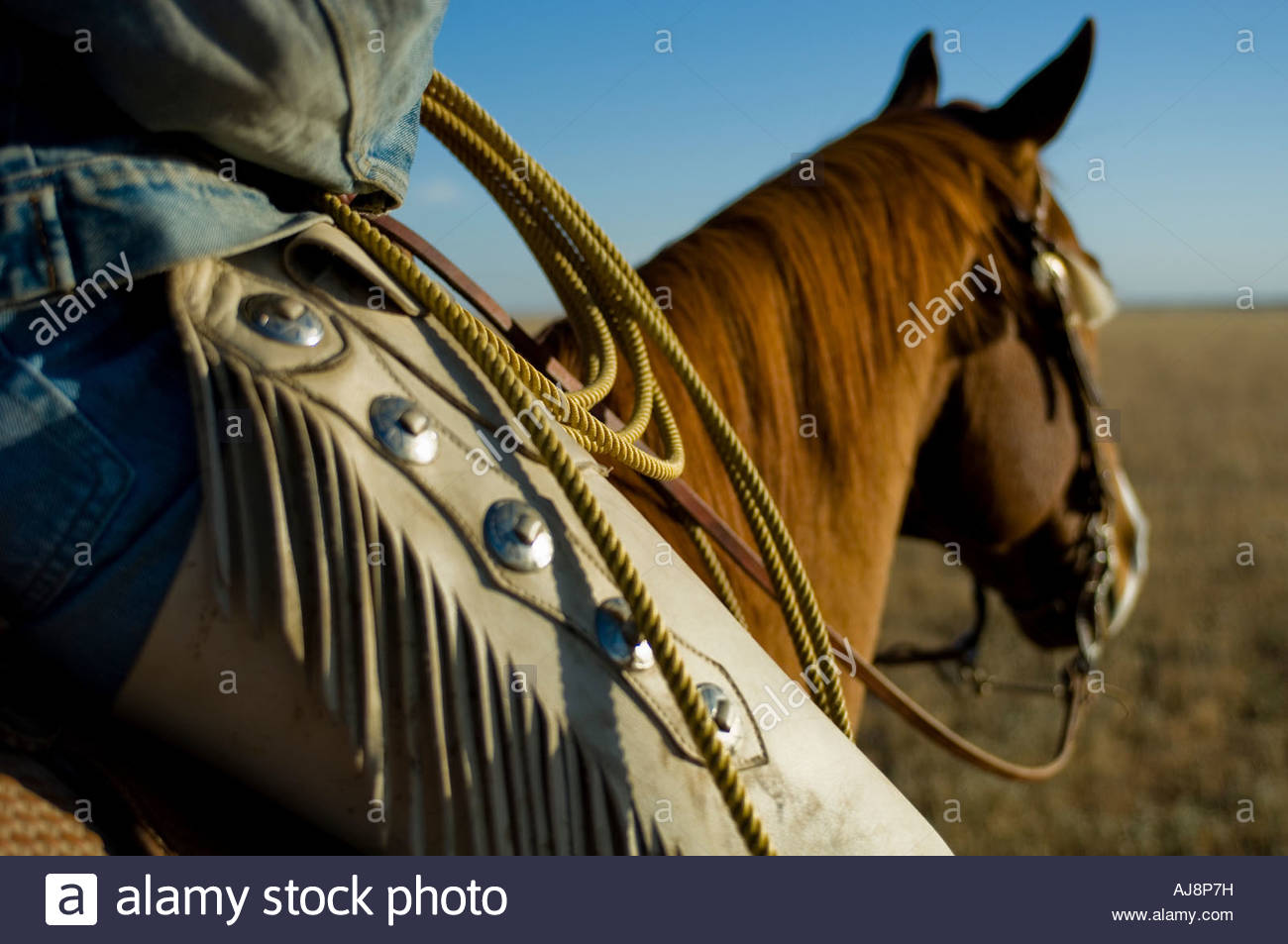 Cowboy Horse Lasso Stock Photos & Cowboy Horse Lasso Stock Images - Alamy