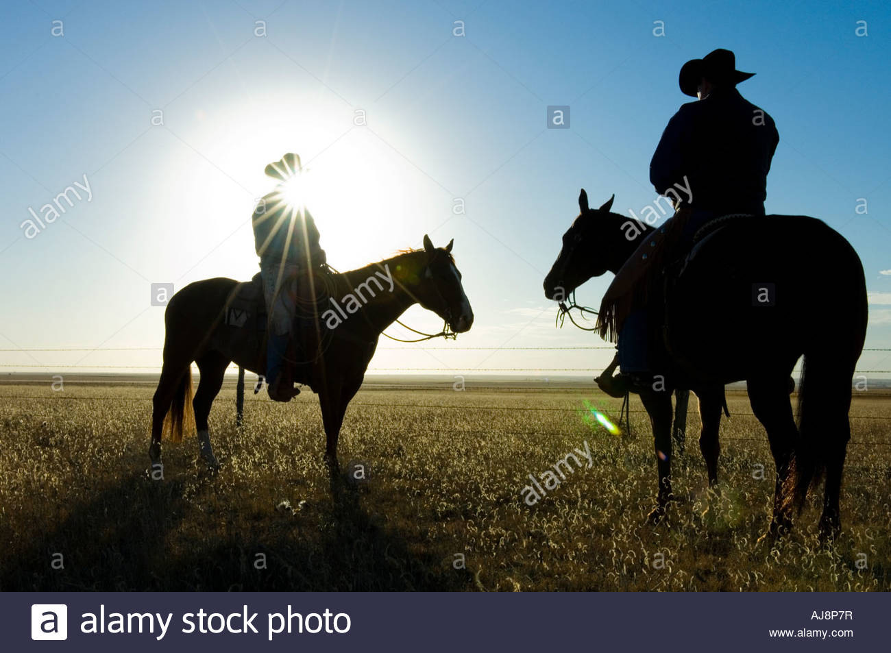 Cowboys On Horseback Stock Photos & Cowboys On Horseback Stock Images ...