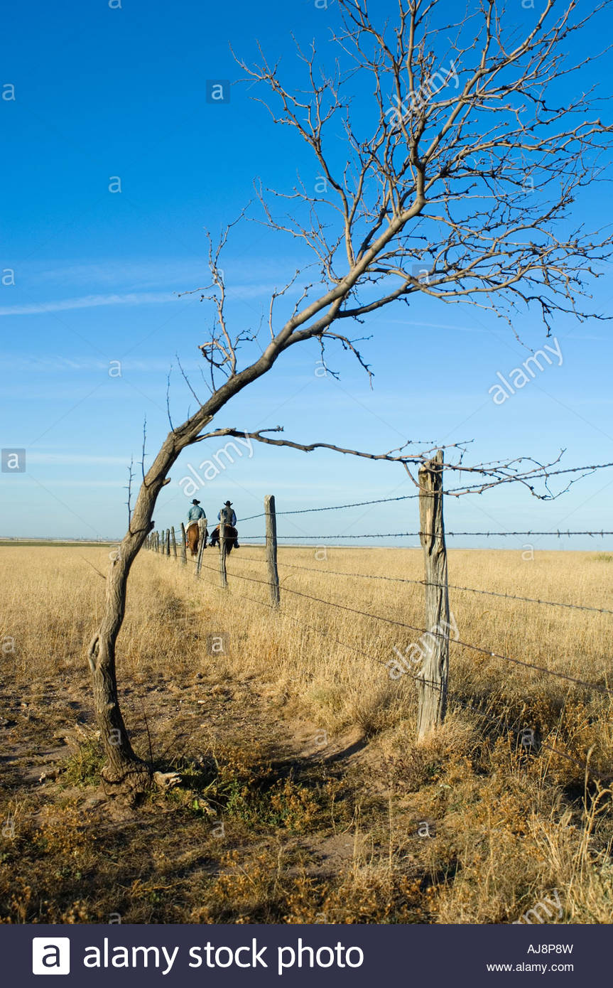 Cowboys On Fence Stock Photos & Cowboys On Fence Stock Images - Alamy