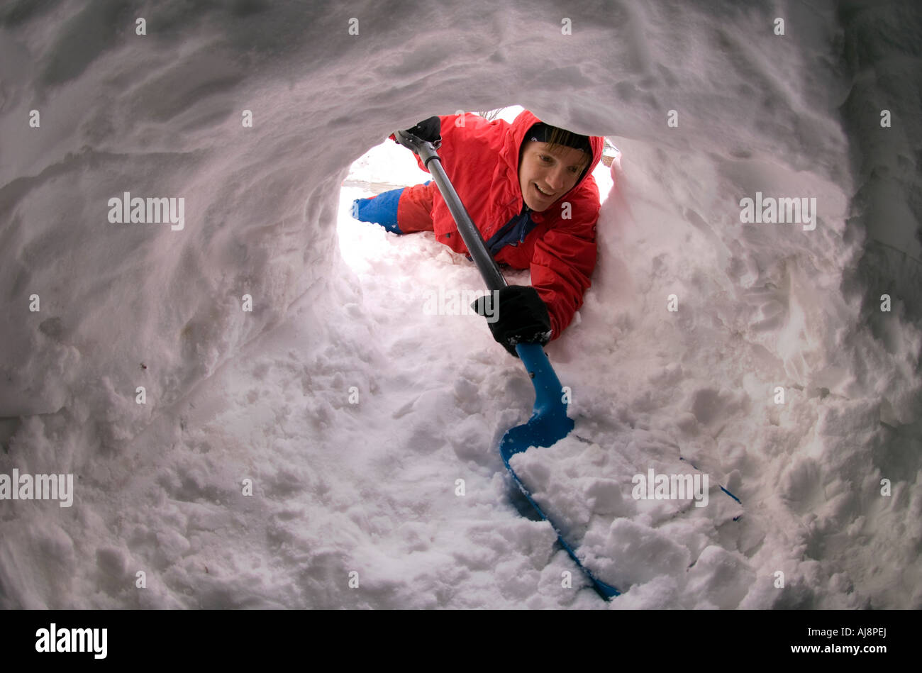 Woman digging a snow cave, Colorado Stock Photo - Alamy