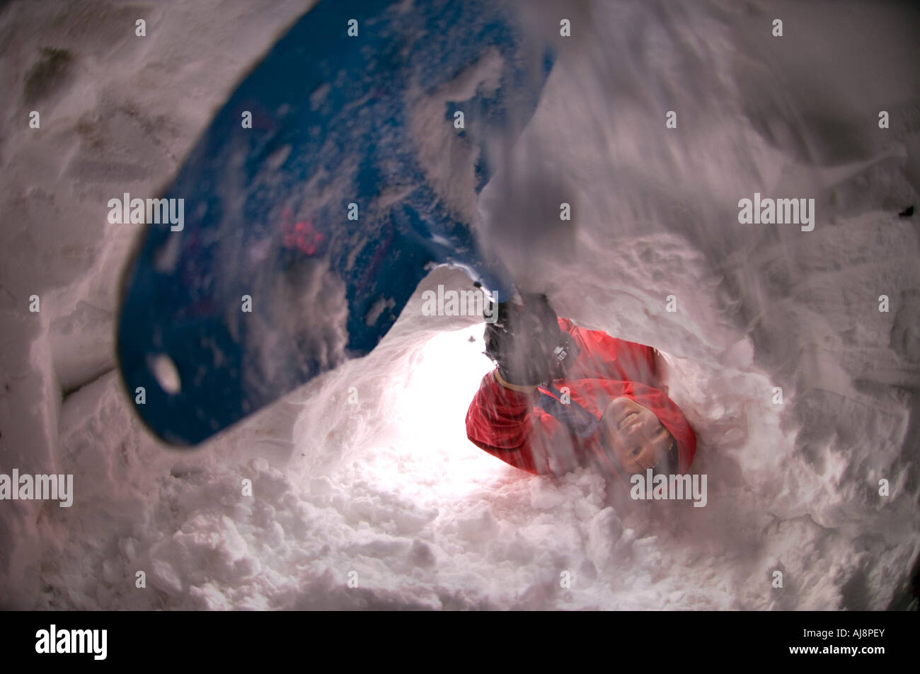 Woman digging a snow cave, Colorado Stock Photo - Alamy