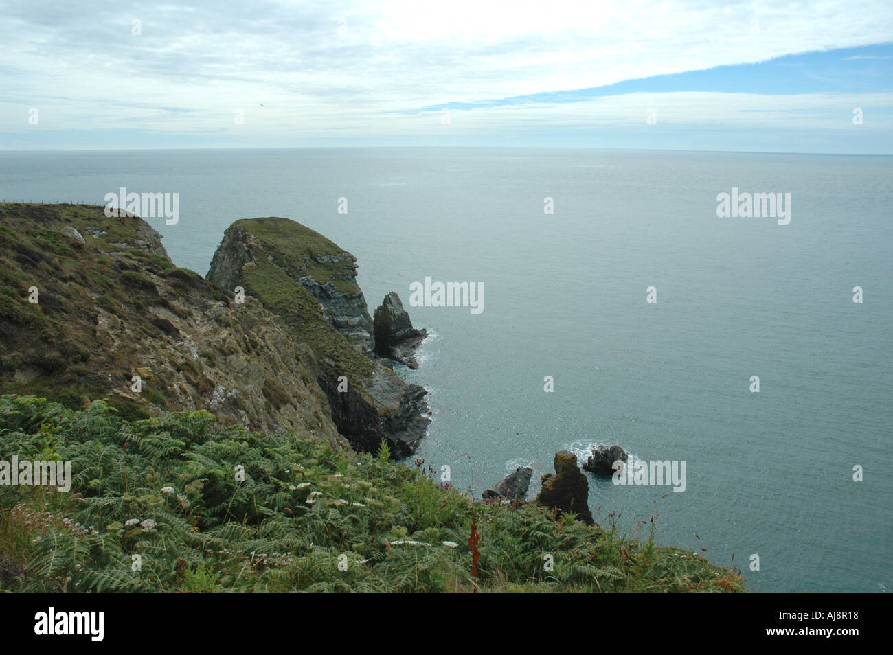 South stack cliffs holyhead hi-res stock photography and images - Alamy