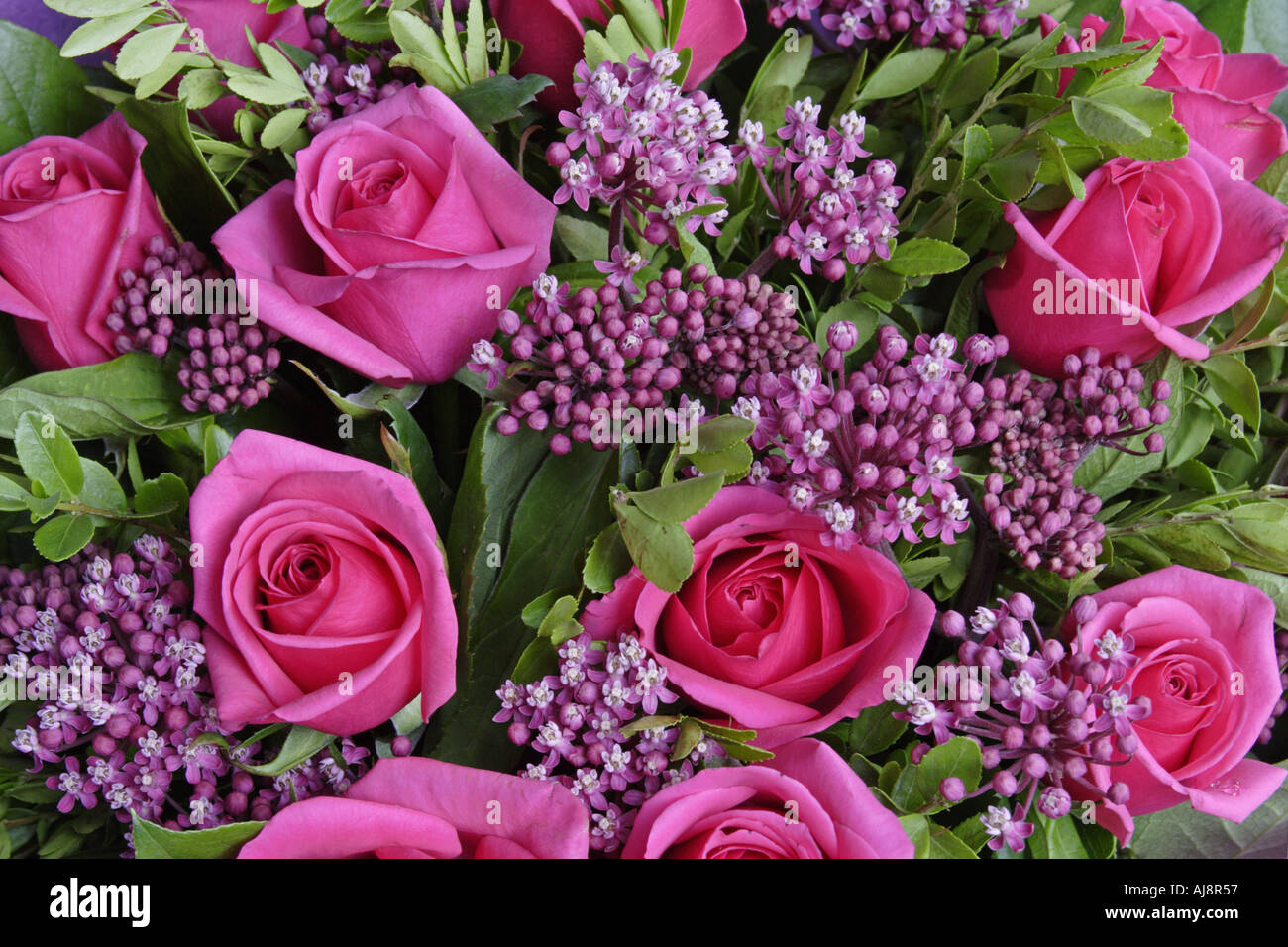 Pink roses in a bouquet hi-res stock photography and images - Alamy