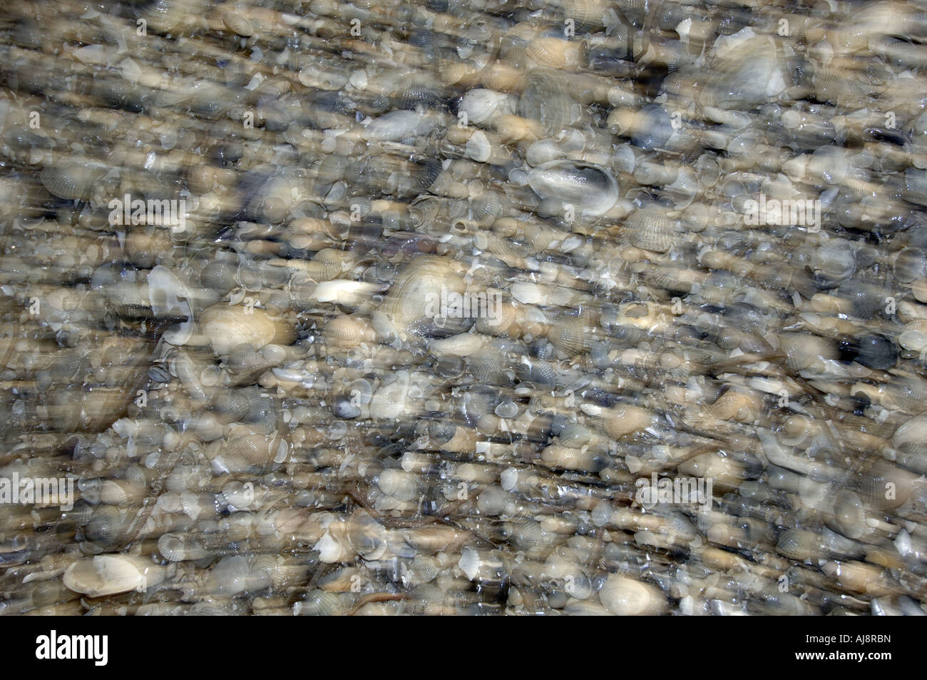 Zeepier hi-res stock photography and images - Alamy