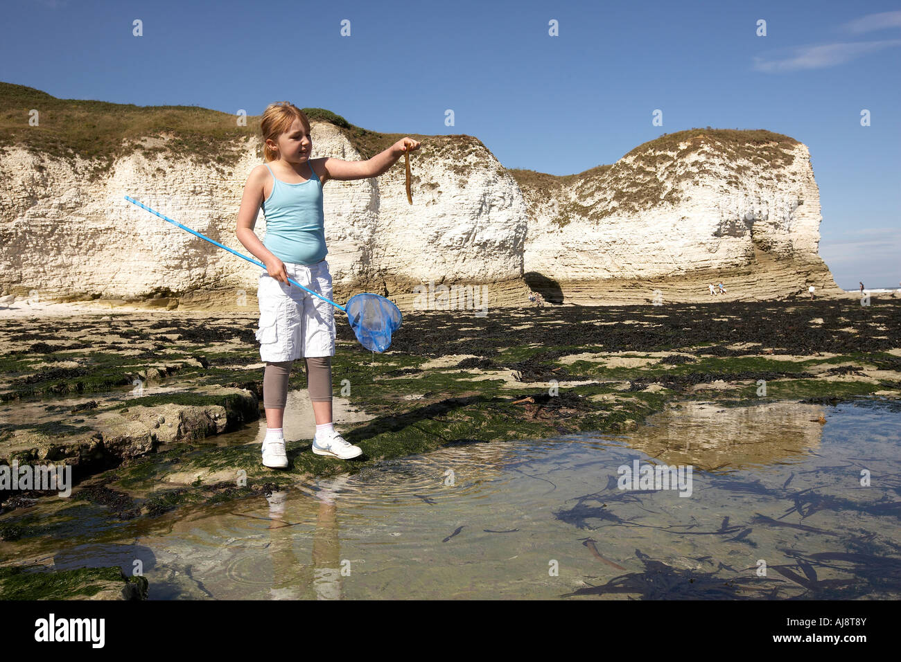 Old rock pooling hi-res stock photography and images - Alamy
