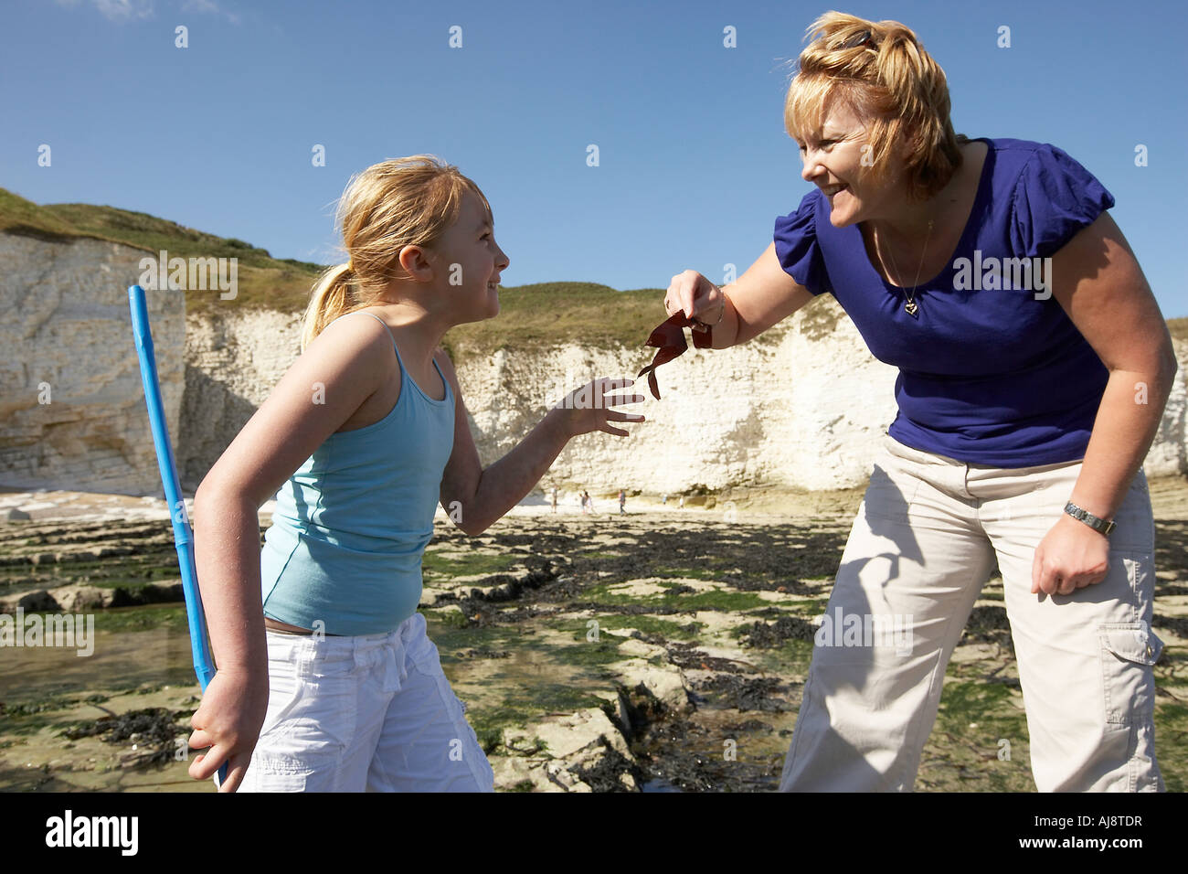 Fun rock pooling hi-res stock photography and images - Alamy