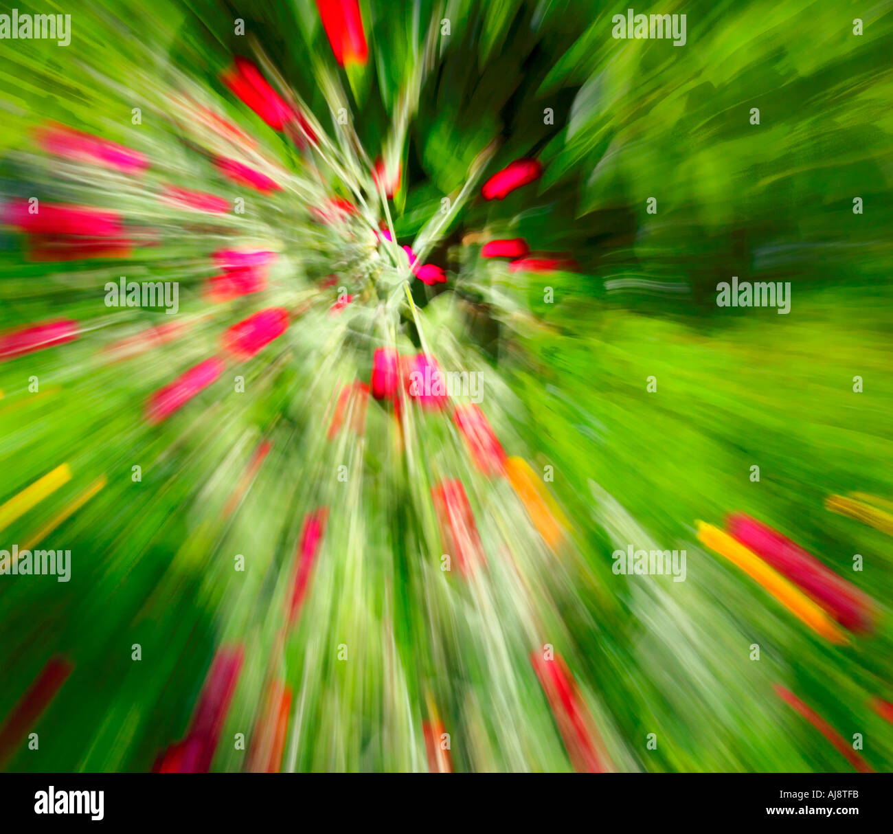 Zoom out painting hi-res stock photography and images - Alamy