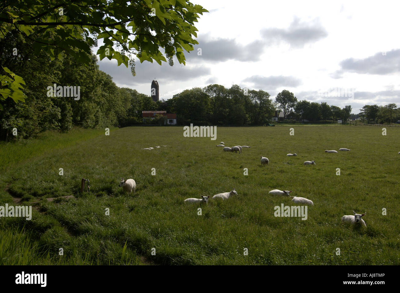 Village Oosterend High Resolution Stock Photography and Images - Alamy