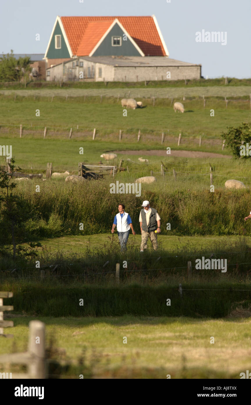 Texel the Hoge Berg or high mountain Stock Photo - Alamy