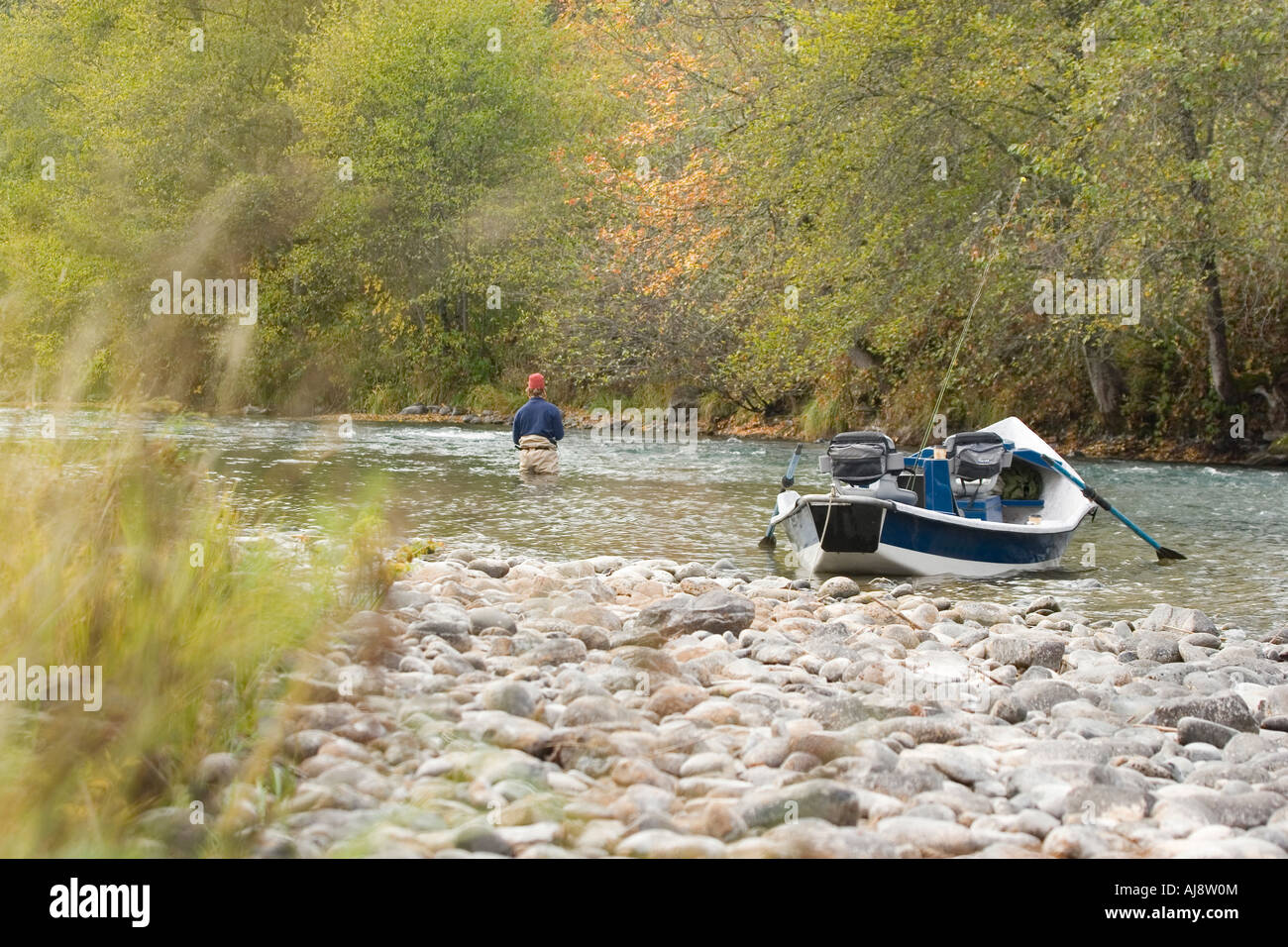 Fly fishing for steelhead trout Stock Photo - Alamy