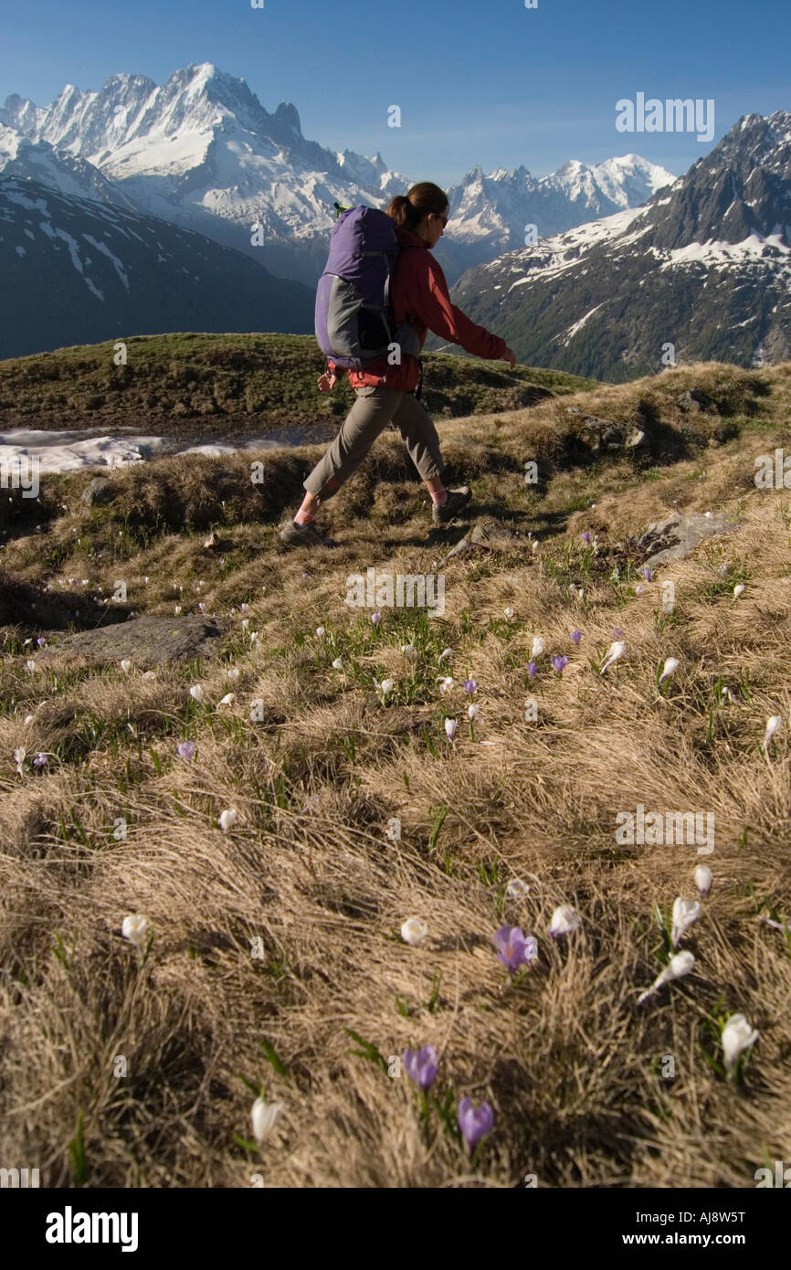 A woman hiking in the French alps Stock Photo - Alamy
