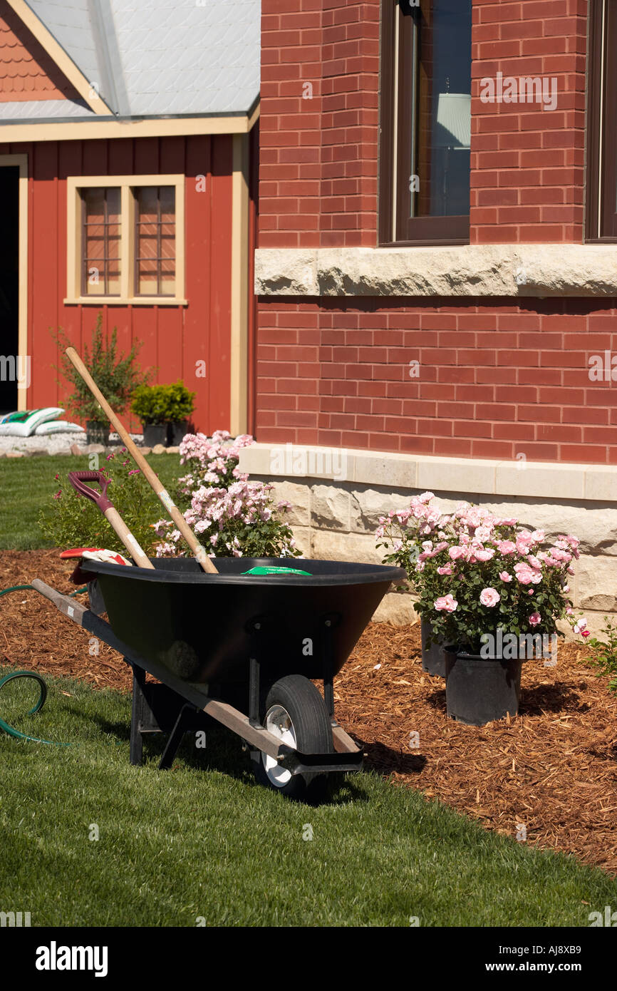 planting bushes 3 Stock Photo - Alamy