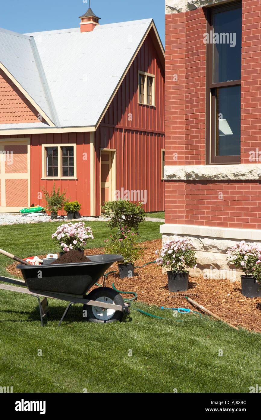 planting bushes 5 Stock Photo - Alamy
