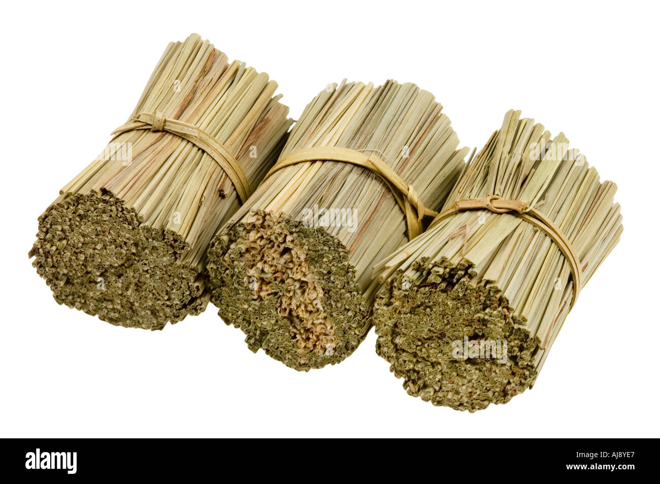 Small slit Cut Out Stock Images & Pictures - Alamy